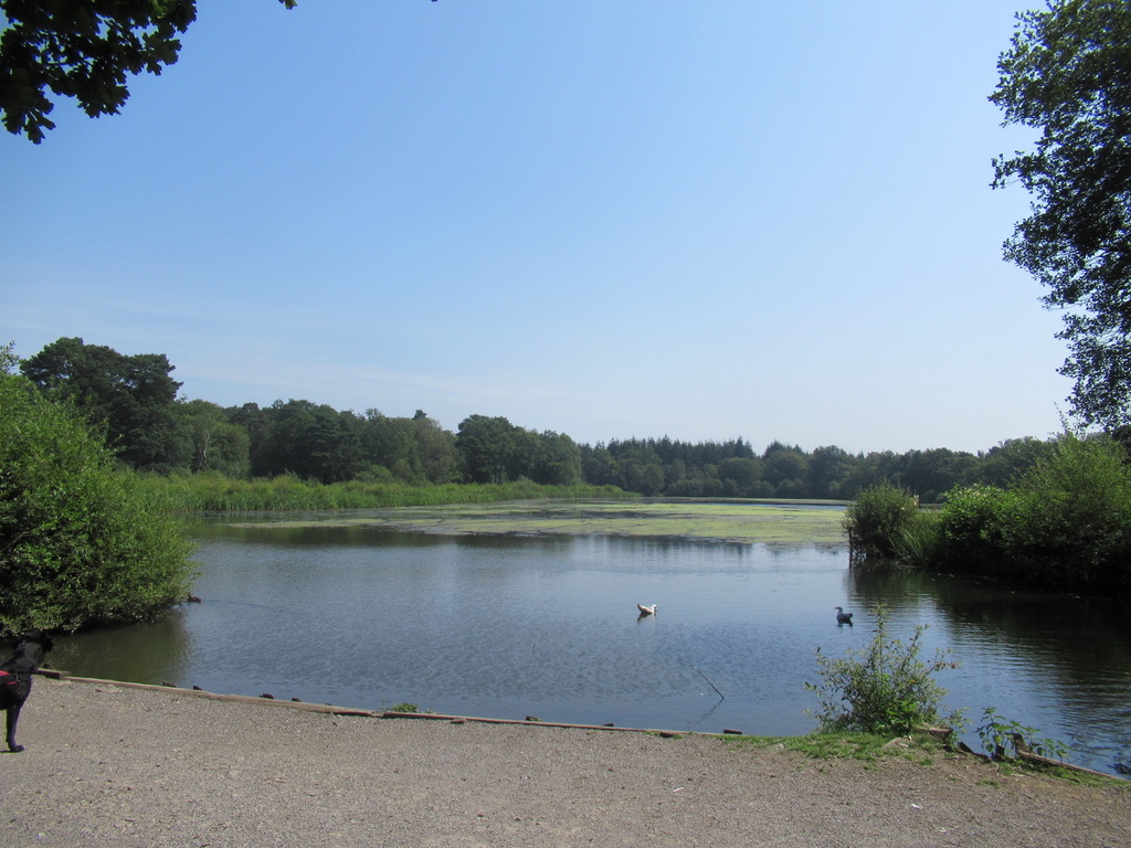 Stover Lake Circuit – Wheelchairoffroad.org